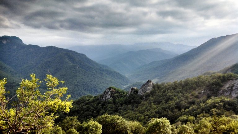 Green Gold: Rebuilding Armenia's Forests - The Armenite